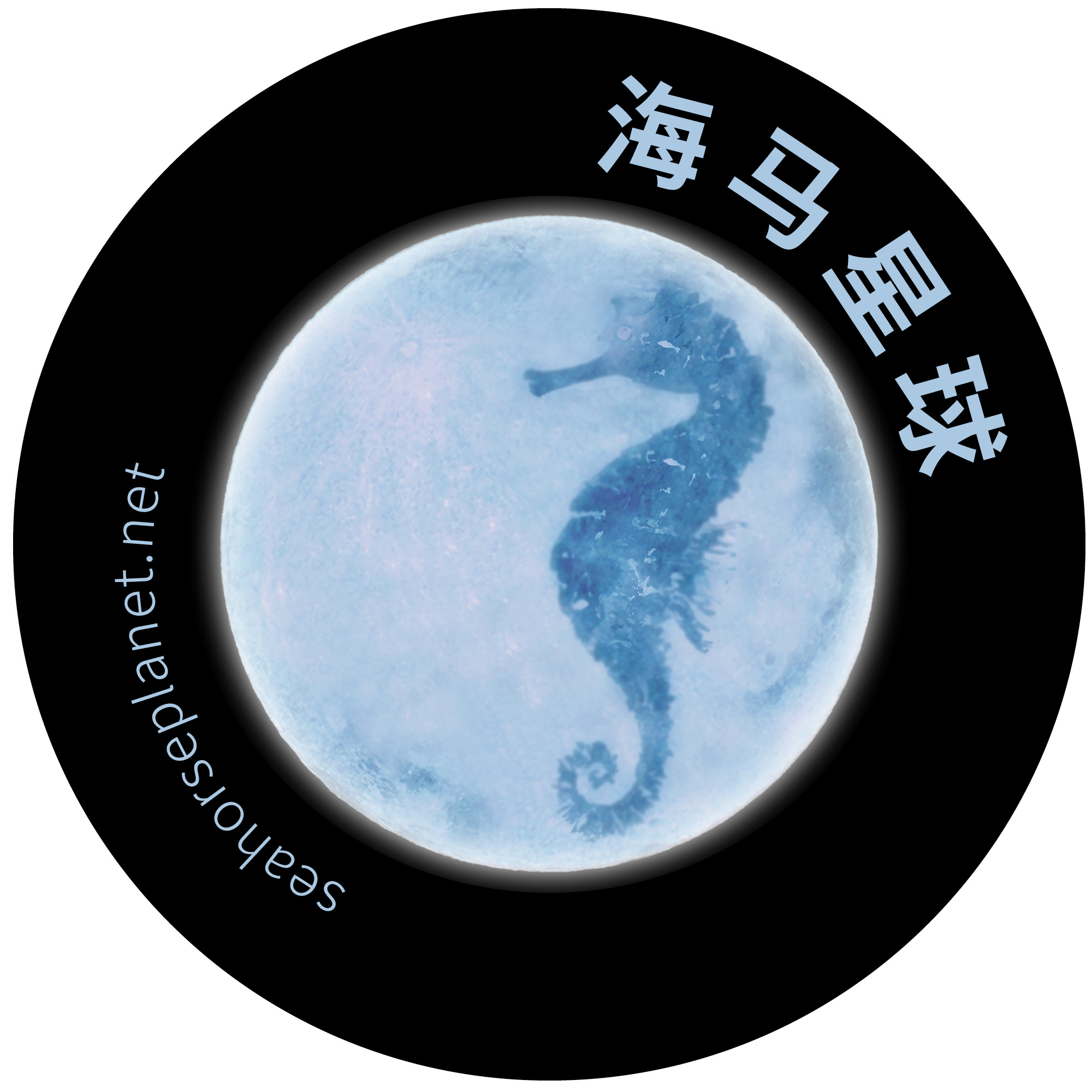 海马星球 Seahorse Planet | Substack