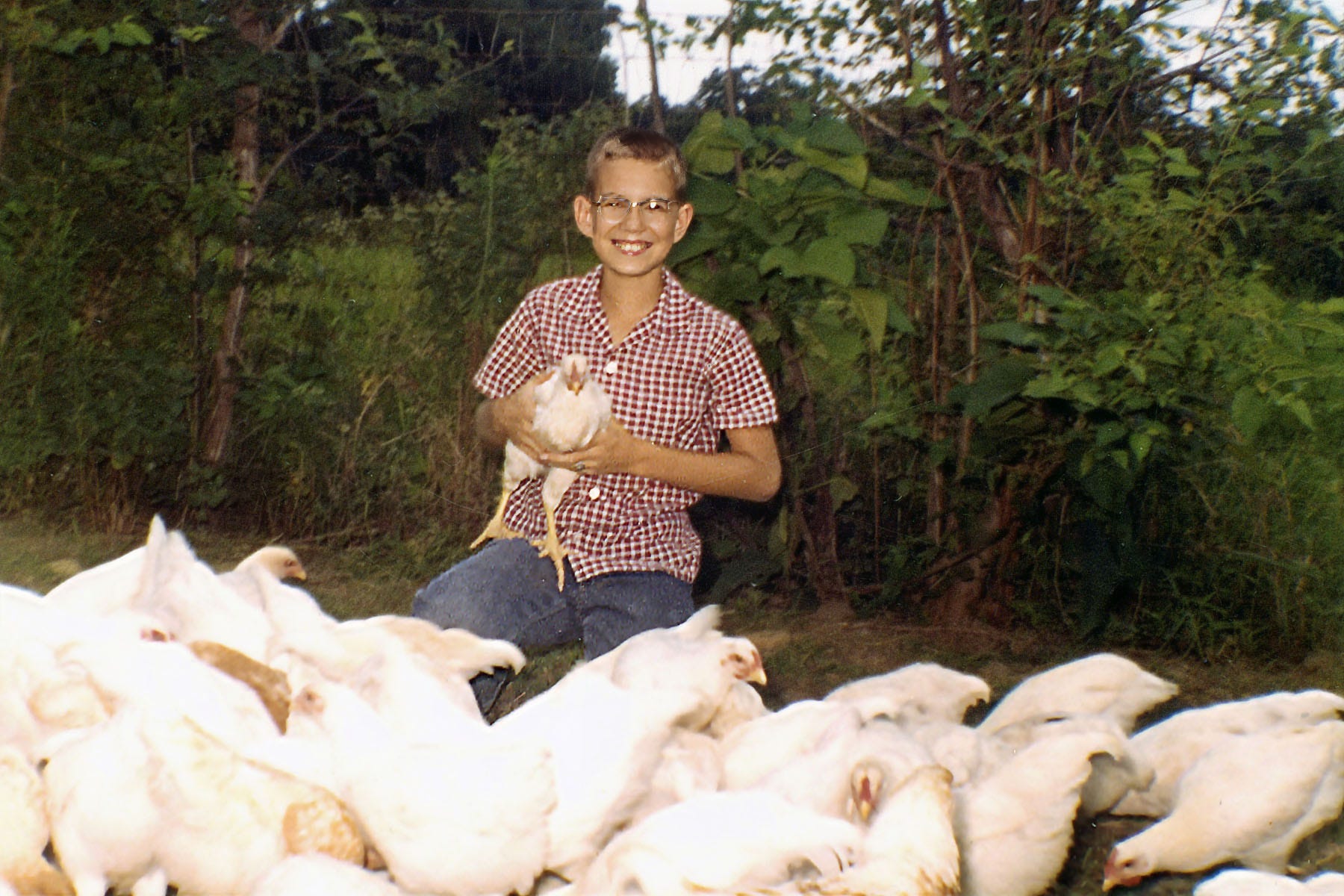 The Price of Eggs - by Jim Mathis - As I See It