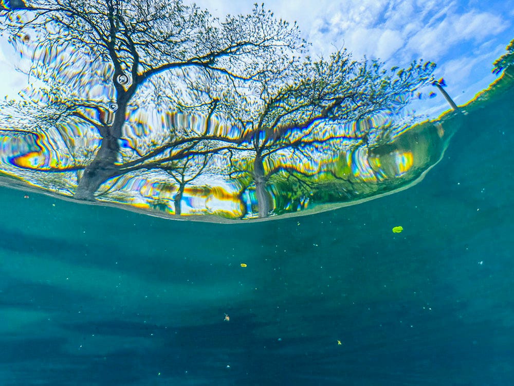 Where are You Lately? - by Tonya Morton - Juke