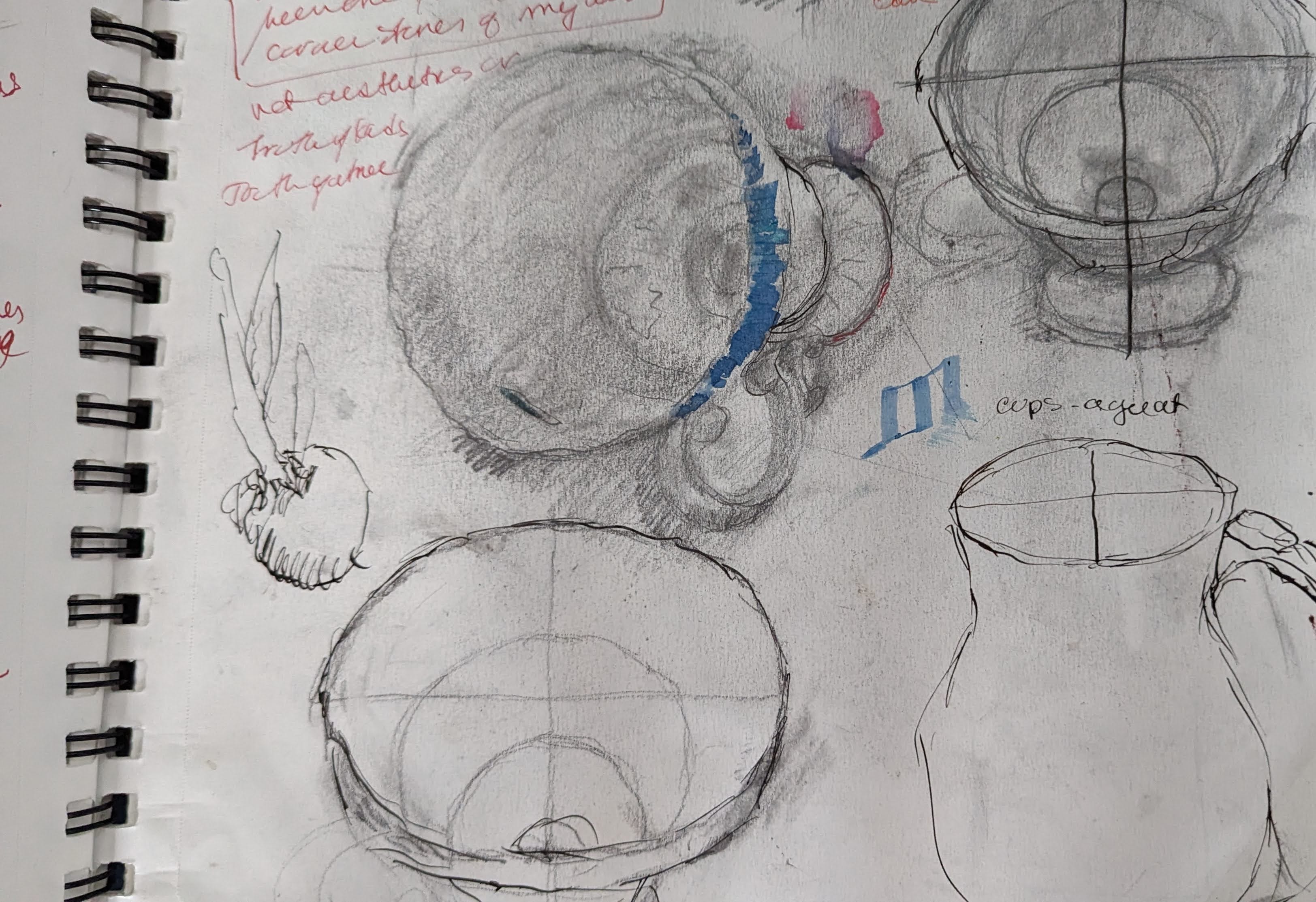 More than a Photo, Less than a Photo - whopaints’s Substack