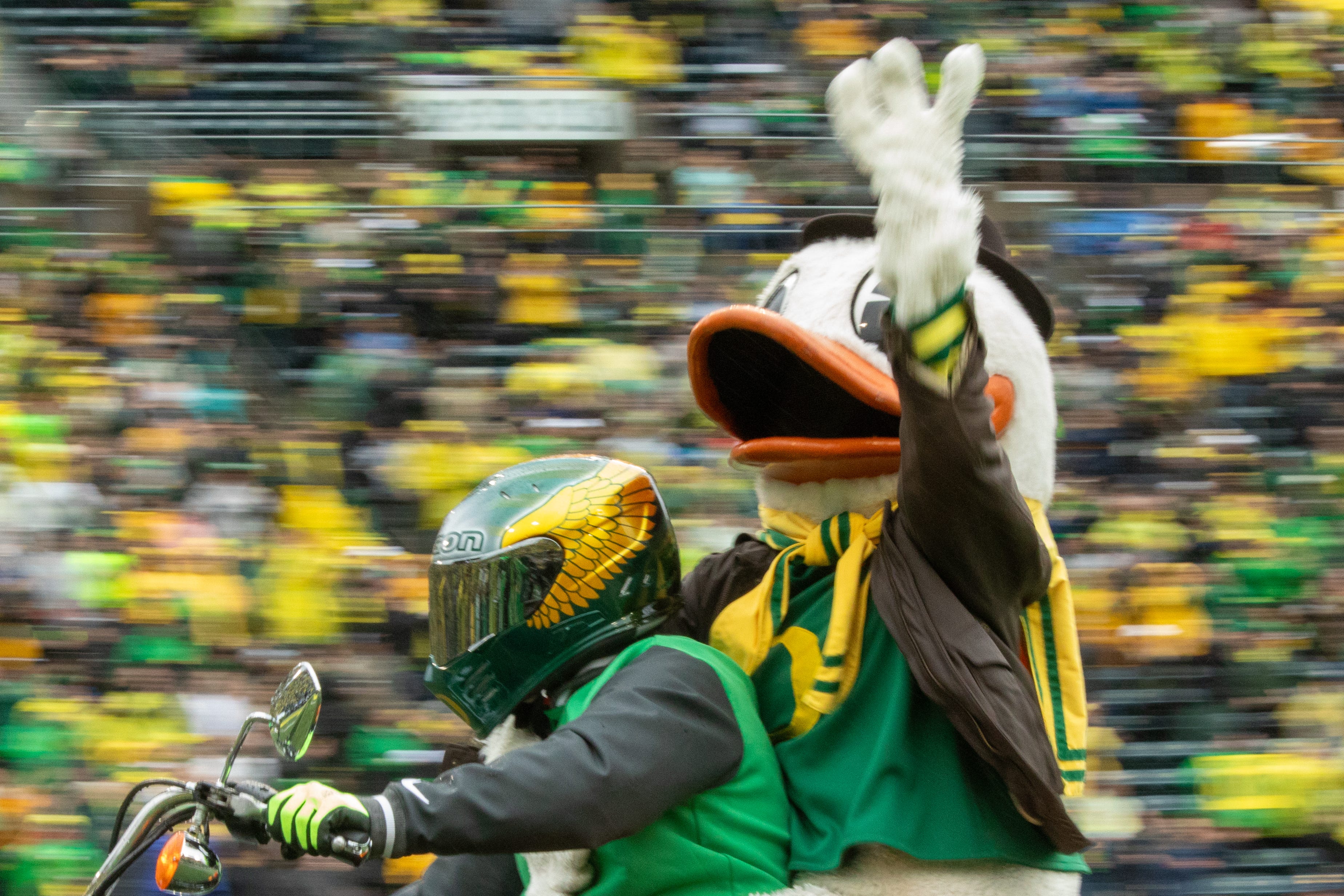 JJ Anderson's best photos from Oregon's 63-19 win over Cal
