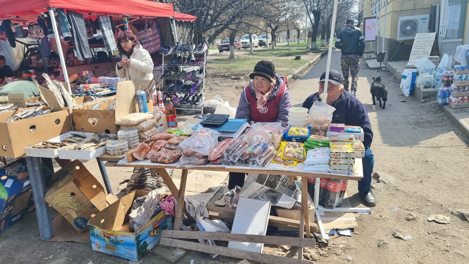 Under the Shadow of War - by Julius Strauss