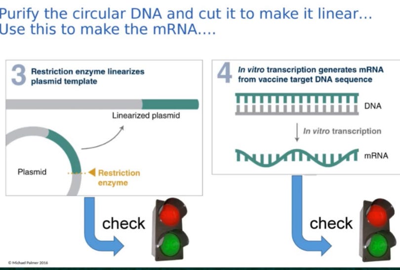 Reckless DNA contamination of C19 mRNA injections may cause ...