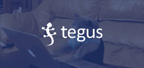 Blockchain Meets Bio - Not Boring by Packy McCormick