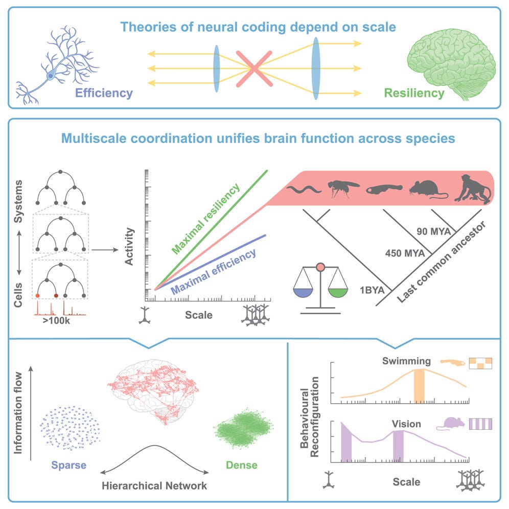 Complexity Thoughts: Issue #59 - Complexity Thoughts