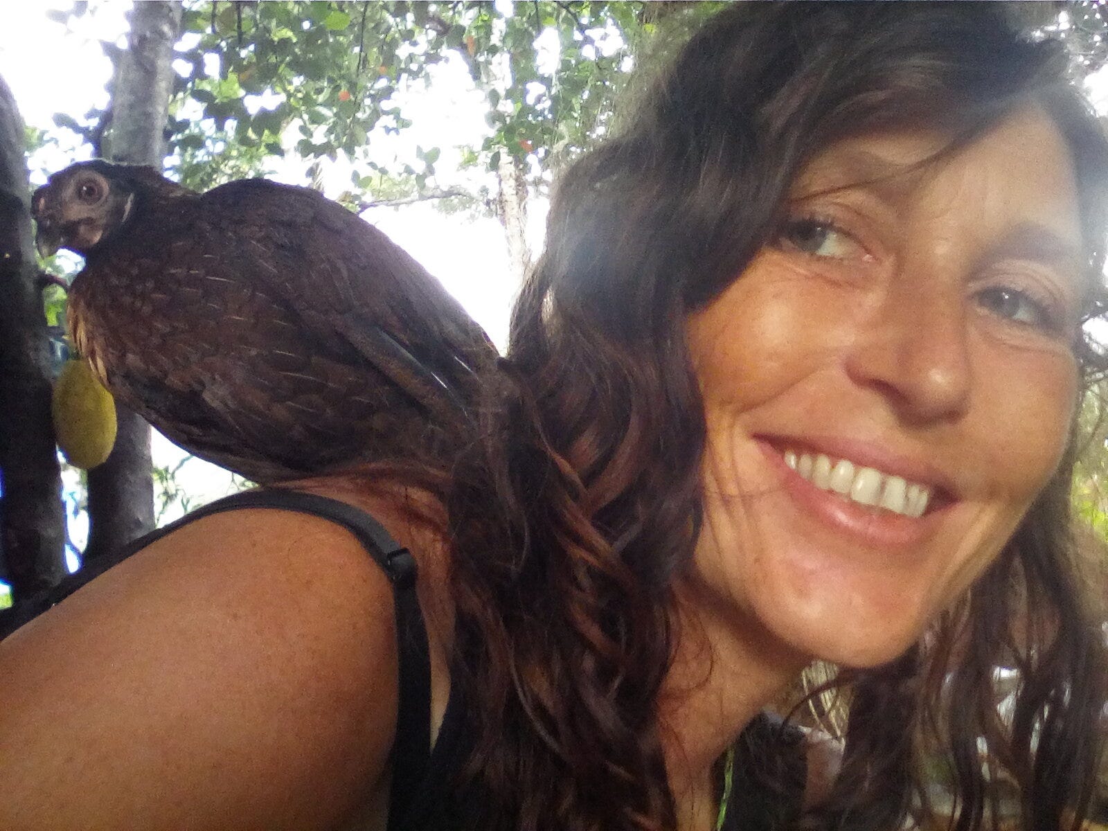 The Great Chicken Coop, Part 2 - by Amy Sukwan