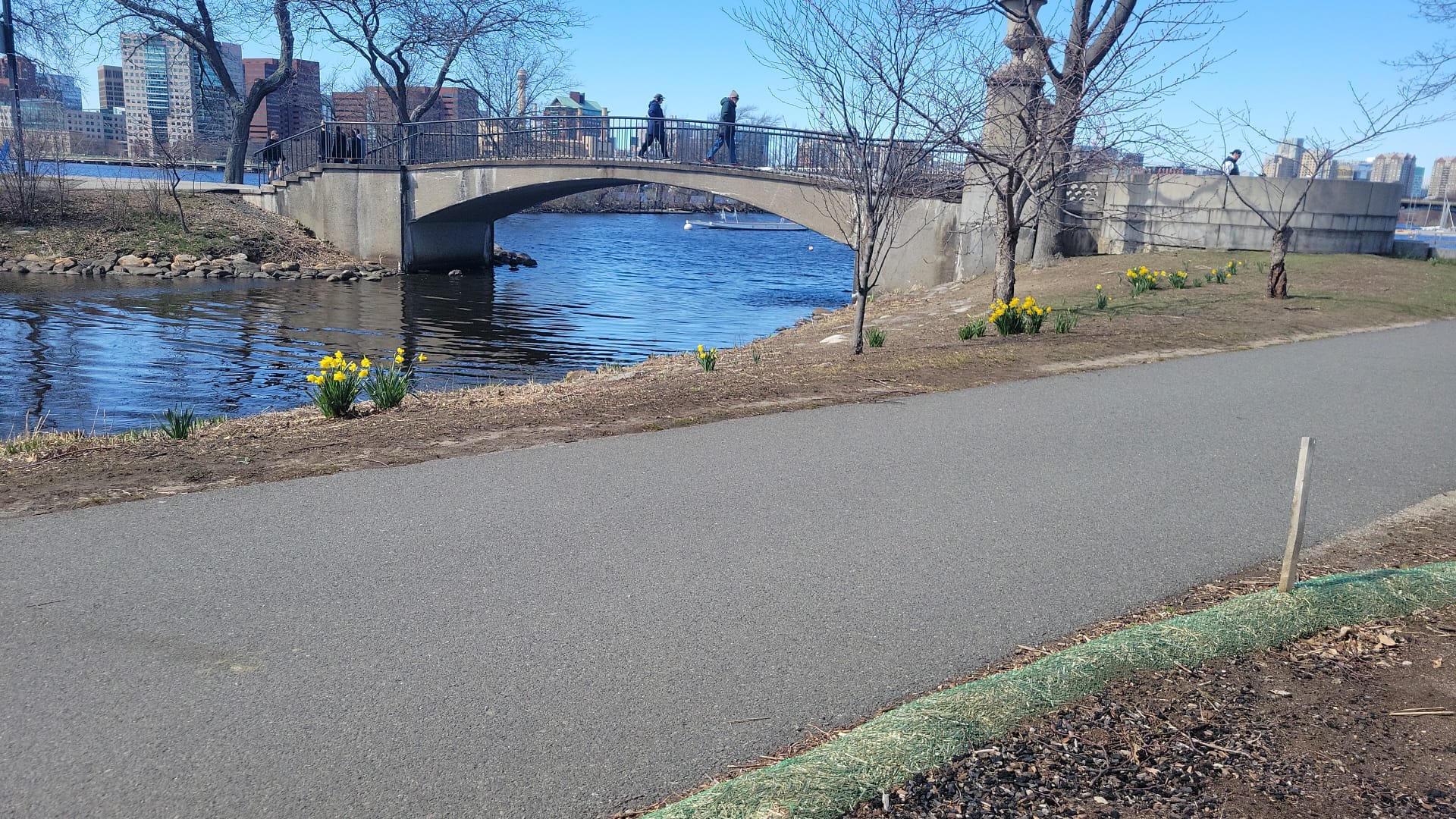 Spring Preaching! - Birds Watch Me