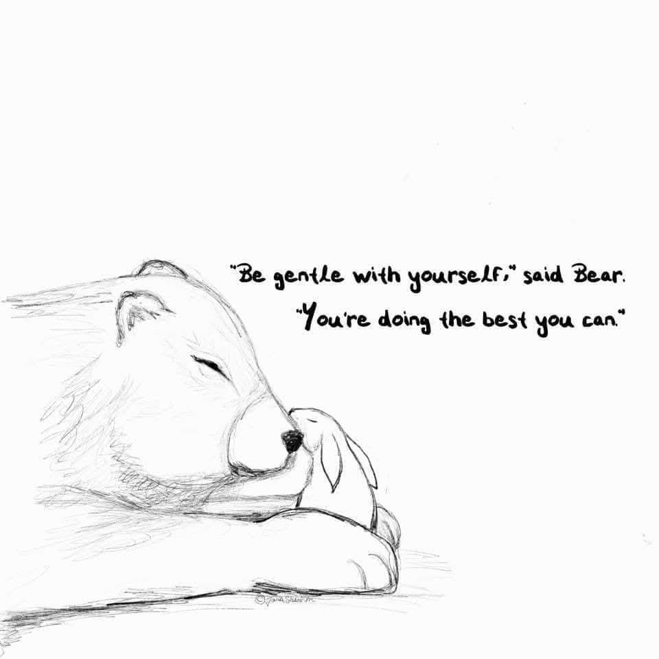 Daily Rabbit & Bear - by Tara Shannon - Tara’s Substack