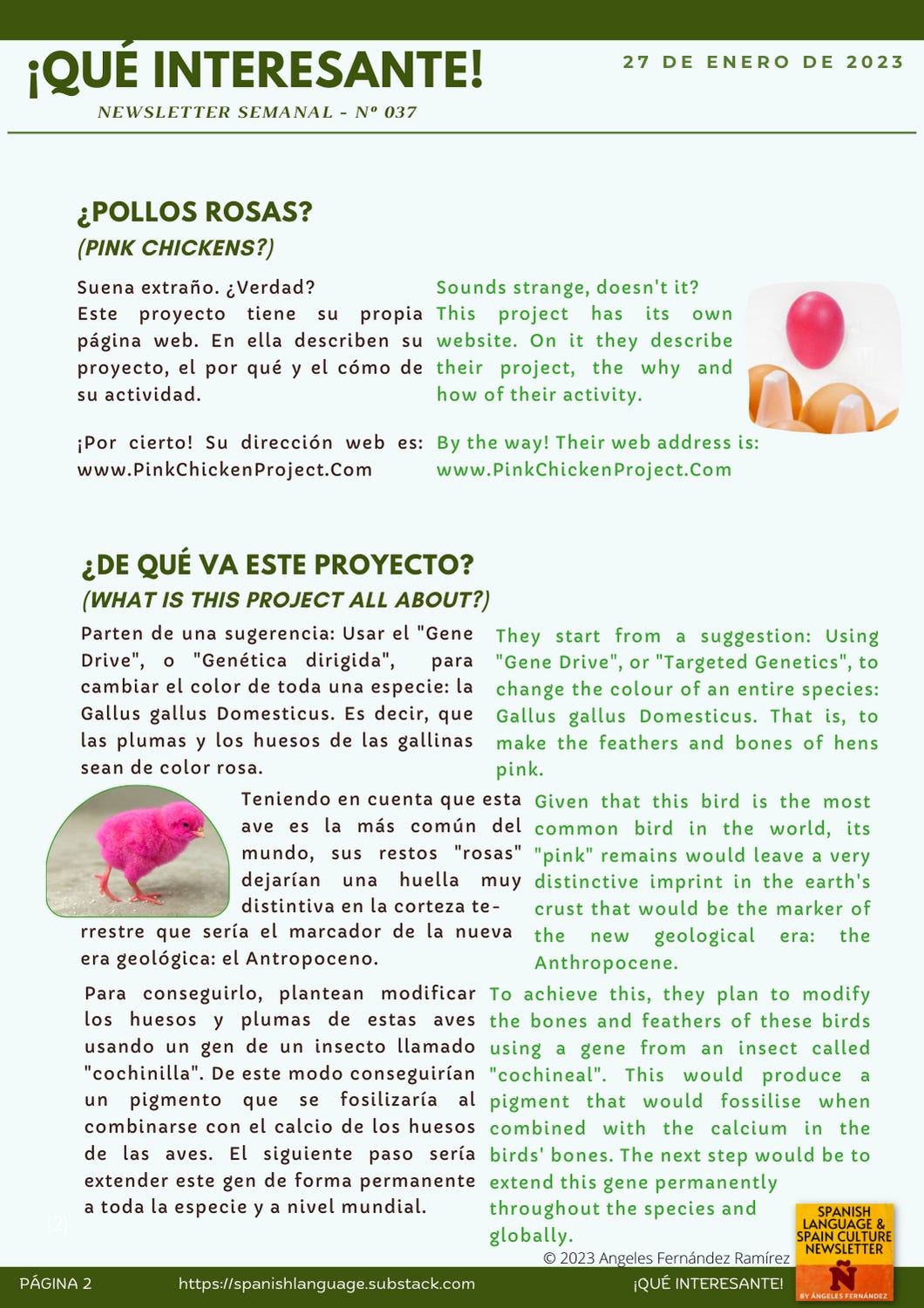 ¡Qué interesante! (How interesting!) #037