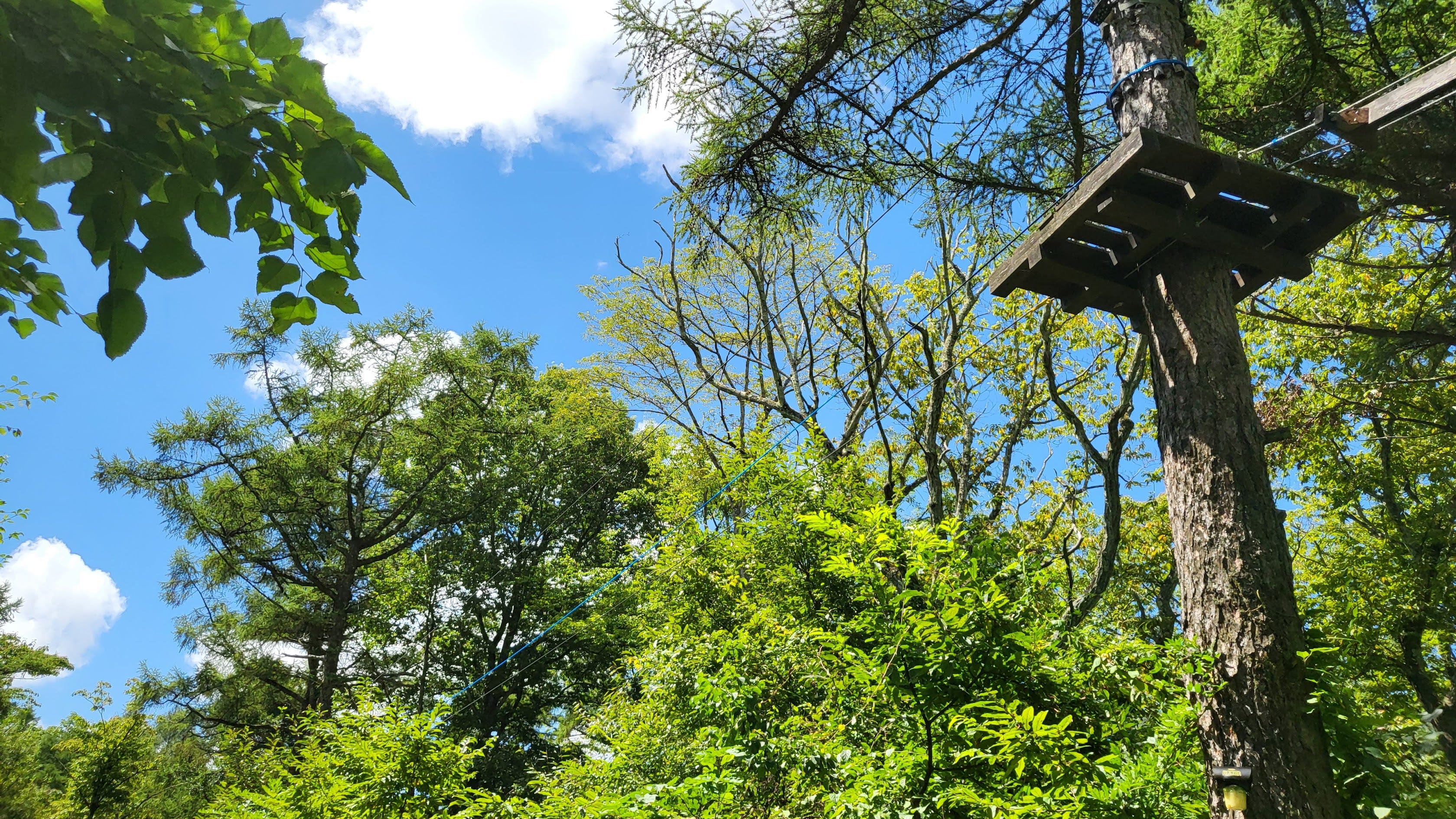 Game Design in High Ropes Courses! - Melos Han-Tani