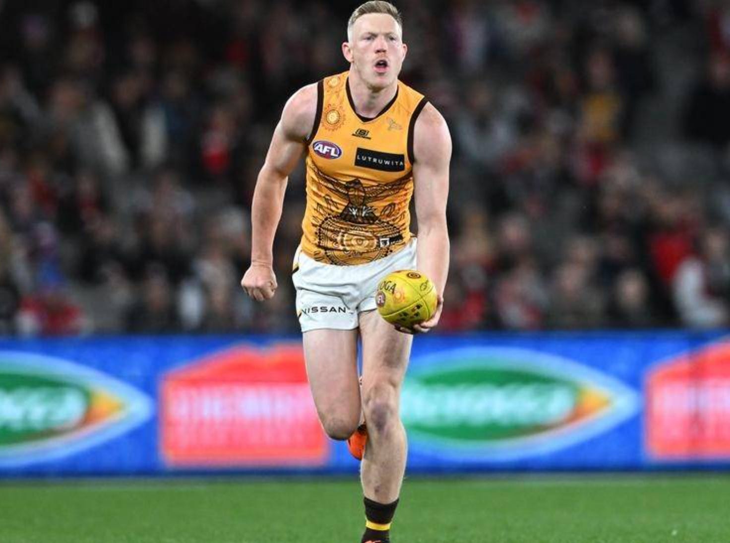 Selection dissection: Taming the Lions - Hawks Insiders