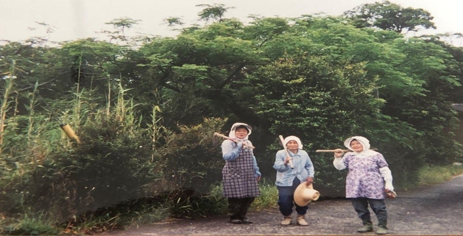 Demographics Decoded - Book Launch - by Amito Sharma