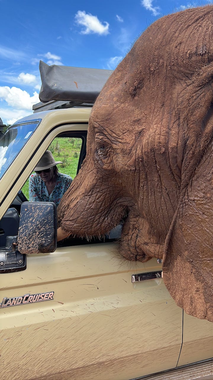 Oh Darling... give us a hug! - by Roxy Danckwerts