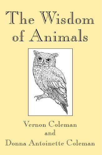 Animals Deal with Sickness Better than Humans Do (Part Two)