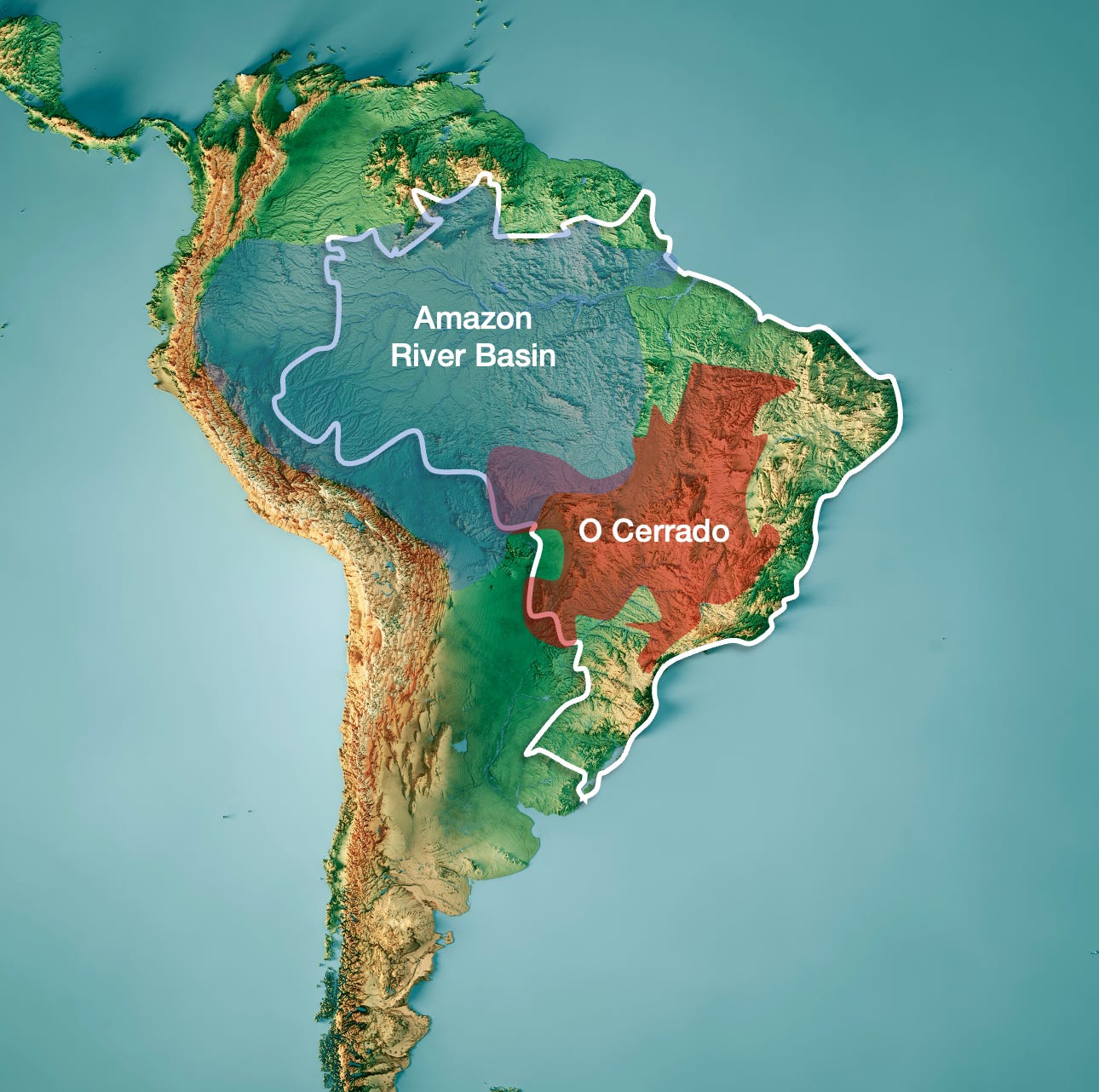 Can Brazil Become a Superpower? - by Tomas Pueyo