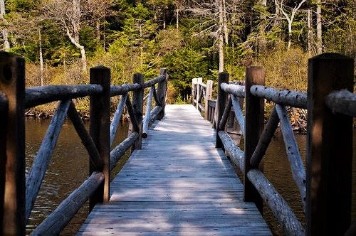 Verplanck - by Alan Wellikoff - Arrant Bushwa