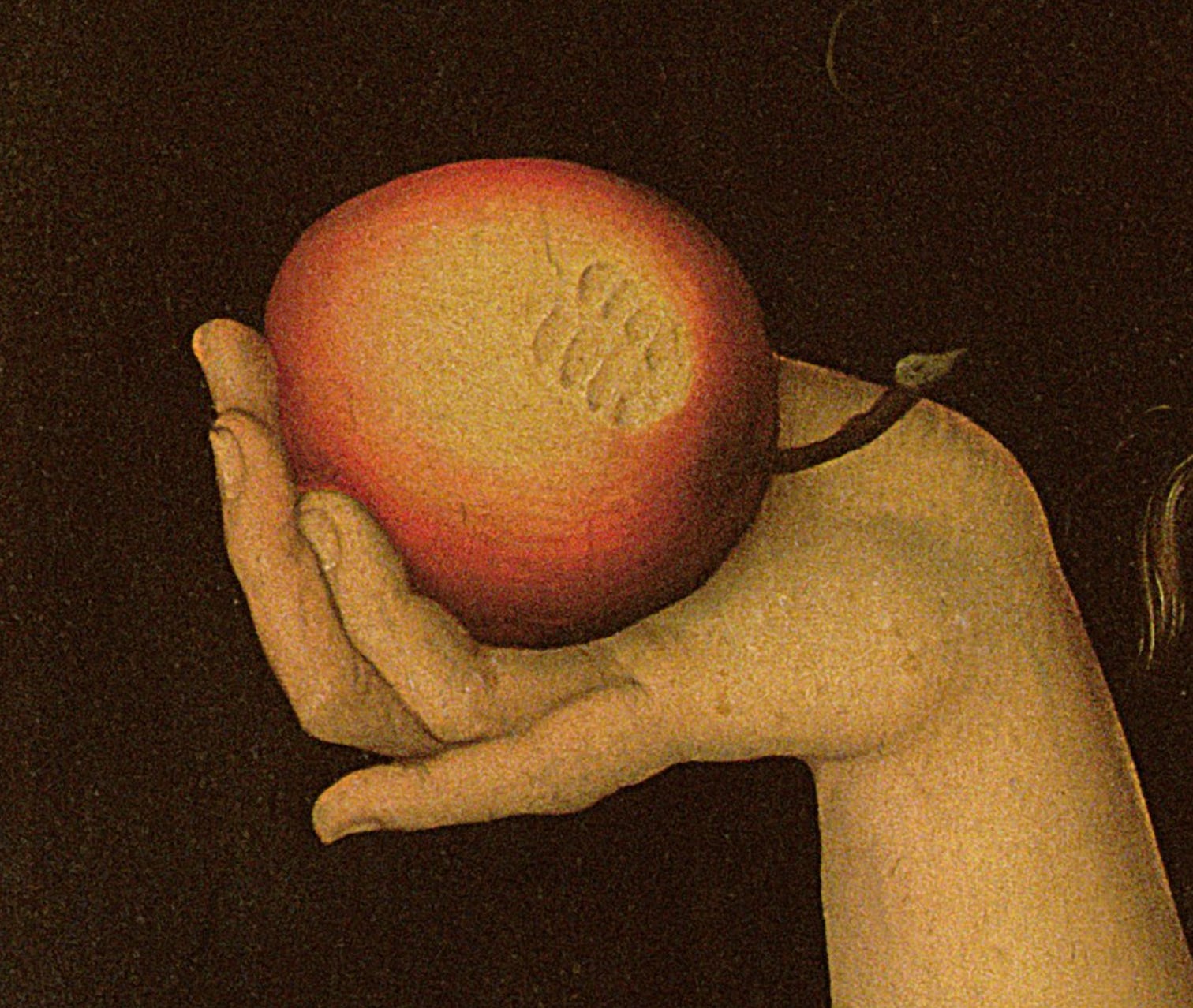 Julianne Werlin | Substack