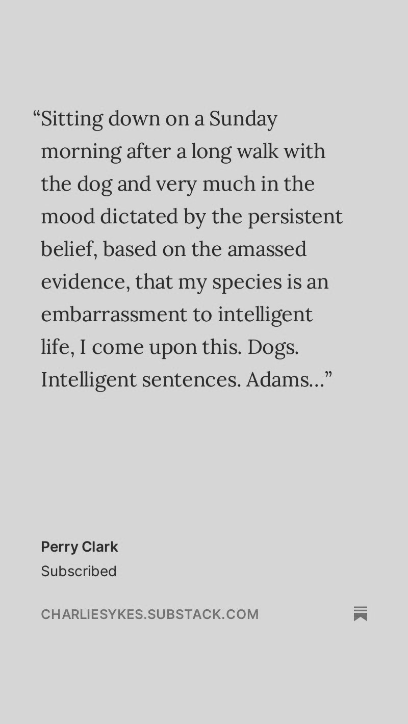 Mostly dog pictures (and other stuff) - by Charlie Sykes