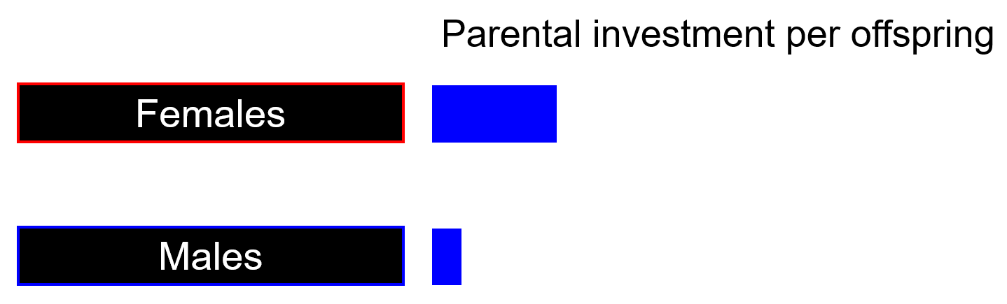 A Billion Years of Sex Differences