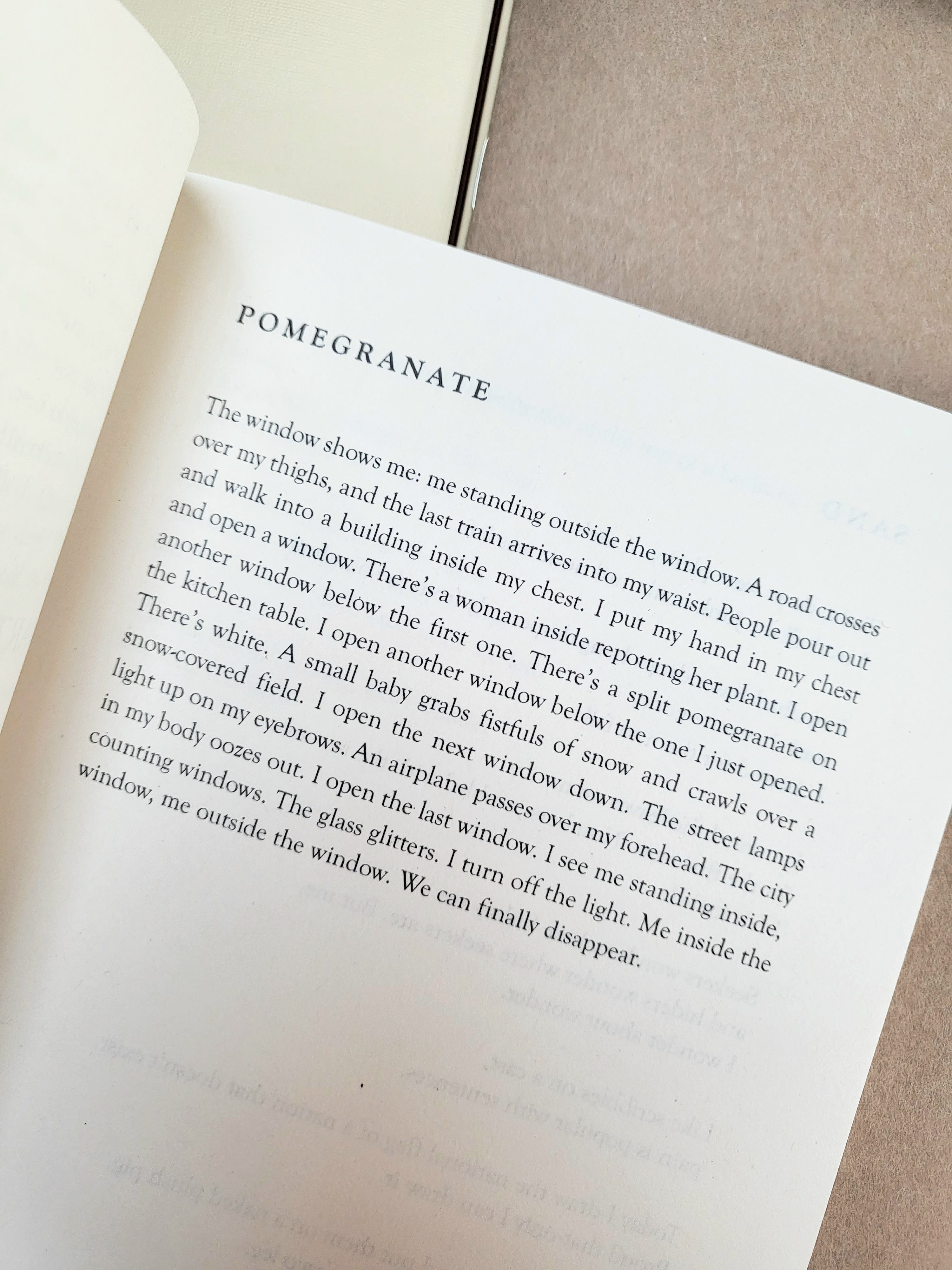 A year in vignettes: part one - by Lian Sing