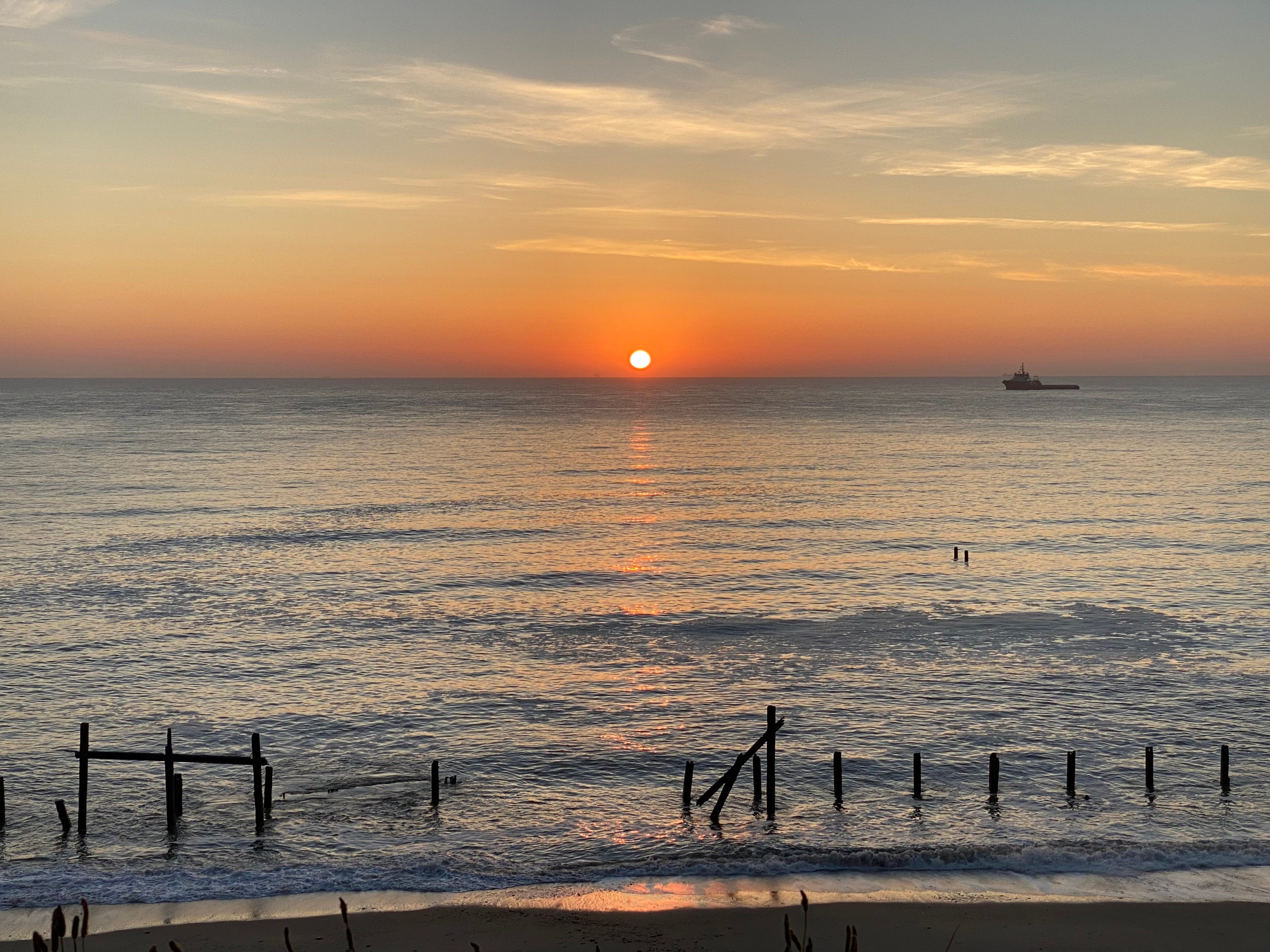 Happy As The Heart - by Imogen Ashwin - Bracken & Wrack