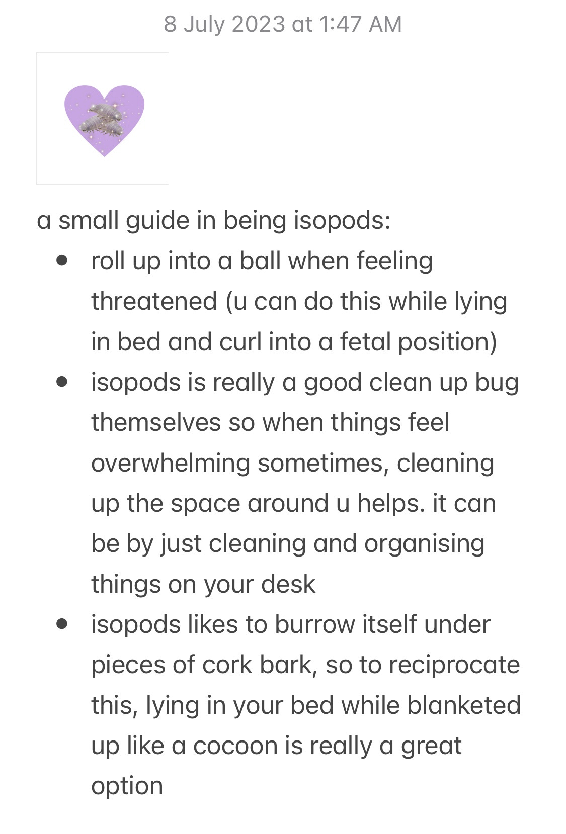 epiphany over a cup of coffee, a small guide in being isopods