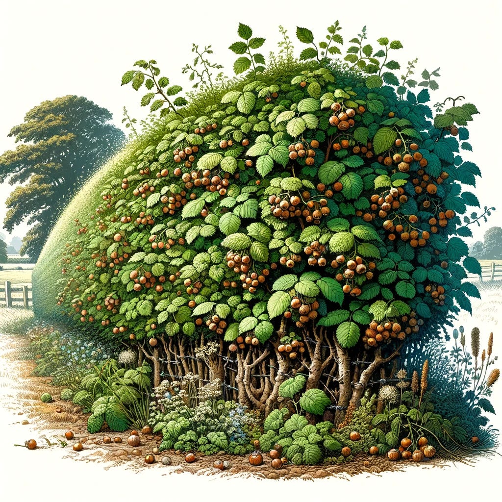 Transforming Spaces: Permaculture Food Forests for Community Greening