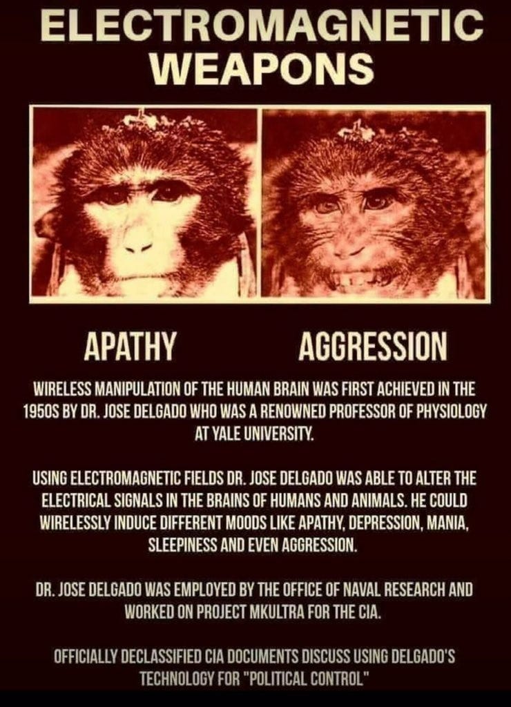 EMF MEMES - by Frances Leader - Uncensored