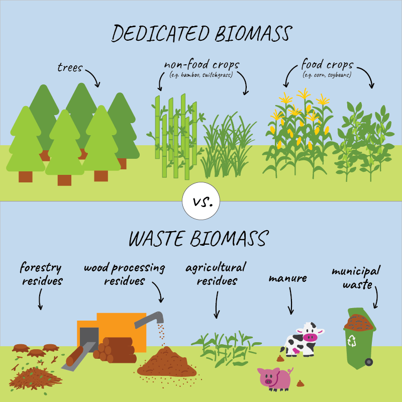 Biomass Overview - by Steve Newman - Climateer