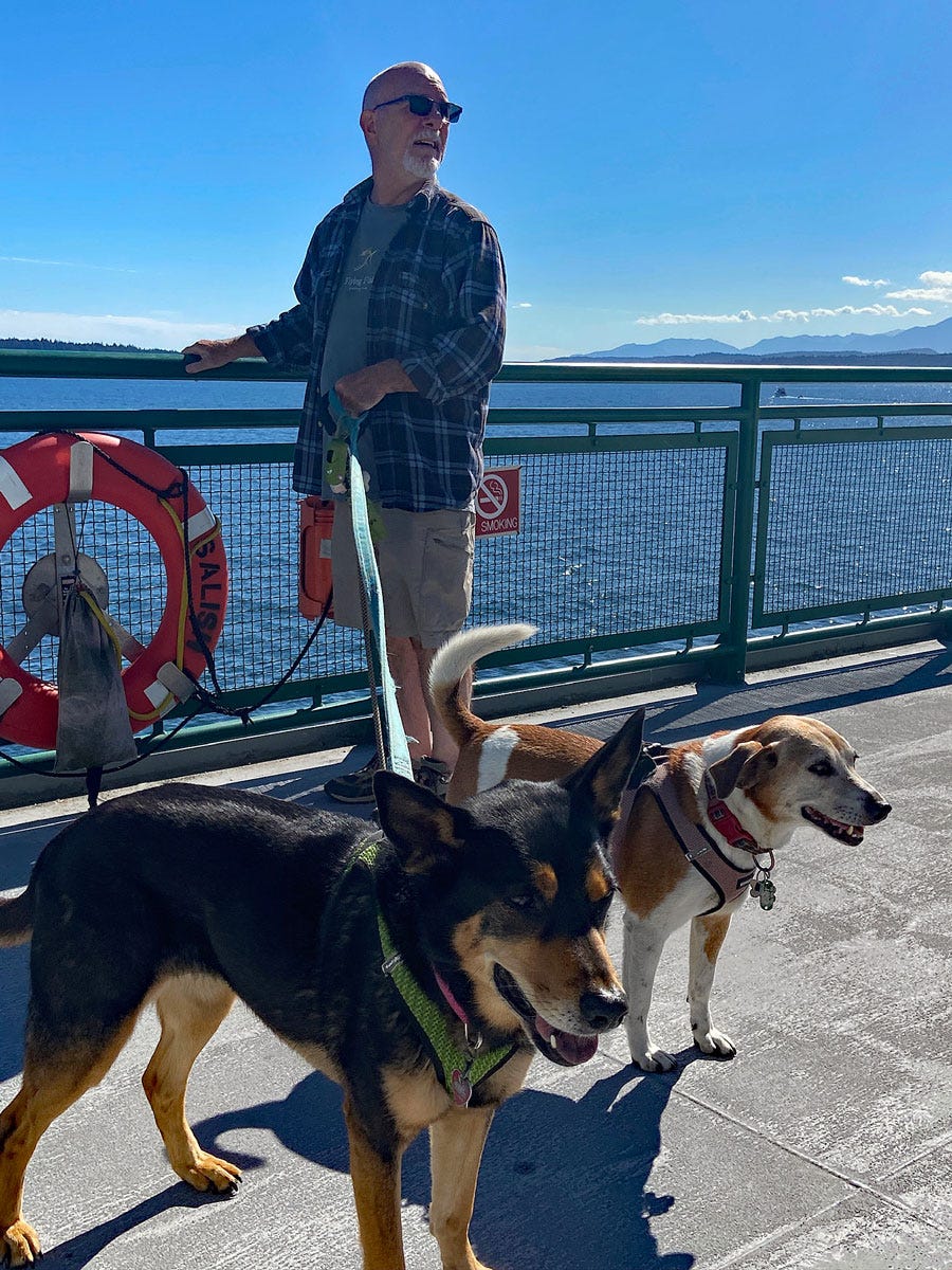 Quintana - by Mark Caicedo - PuraVida