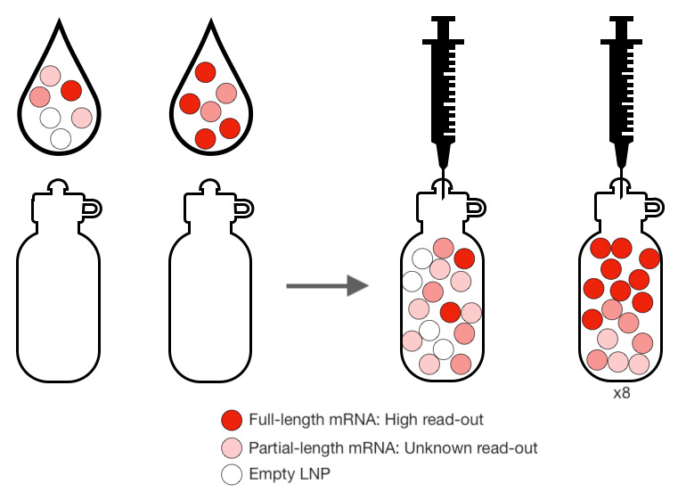 Myocarditis And Bolus Theory - by Brian Mowrey - Unglossed