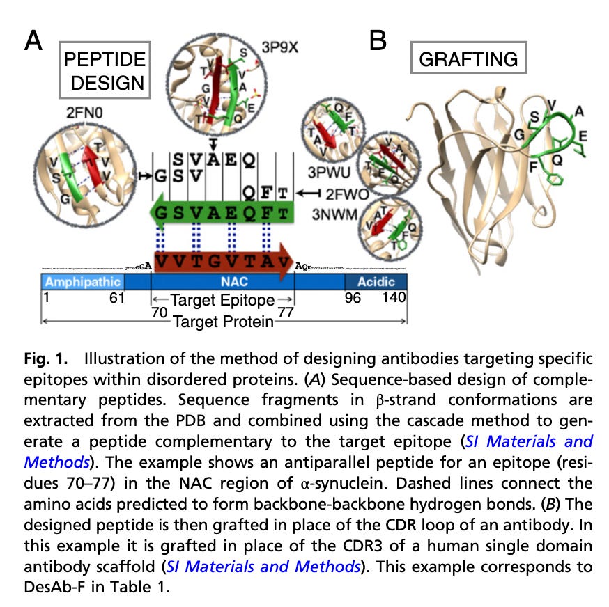 A primer on machine learning in antibody engineering