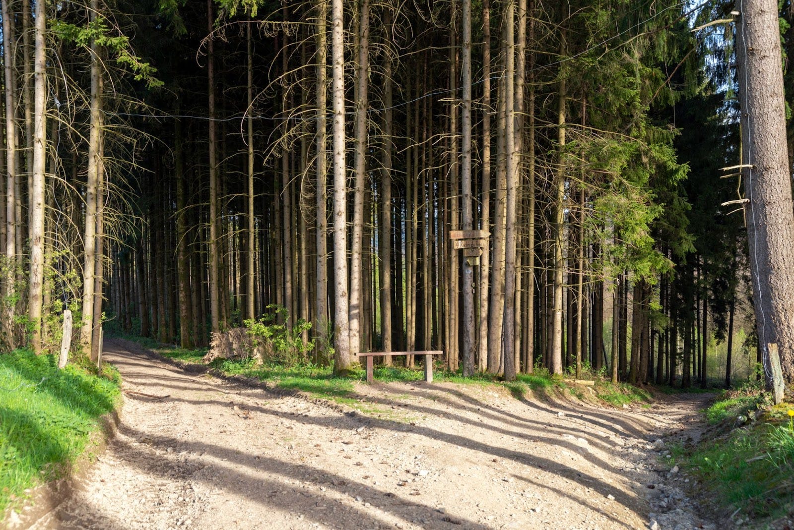 The Trade of the Decade - by Dan Denning