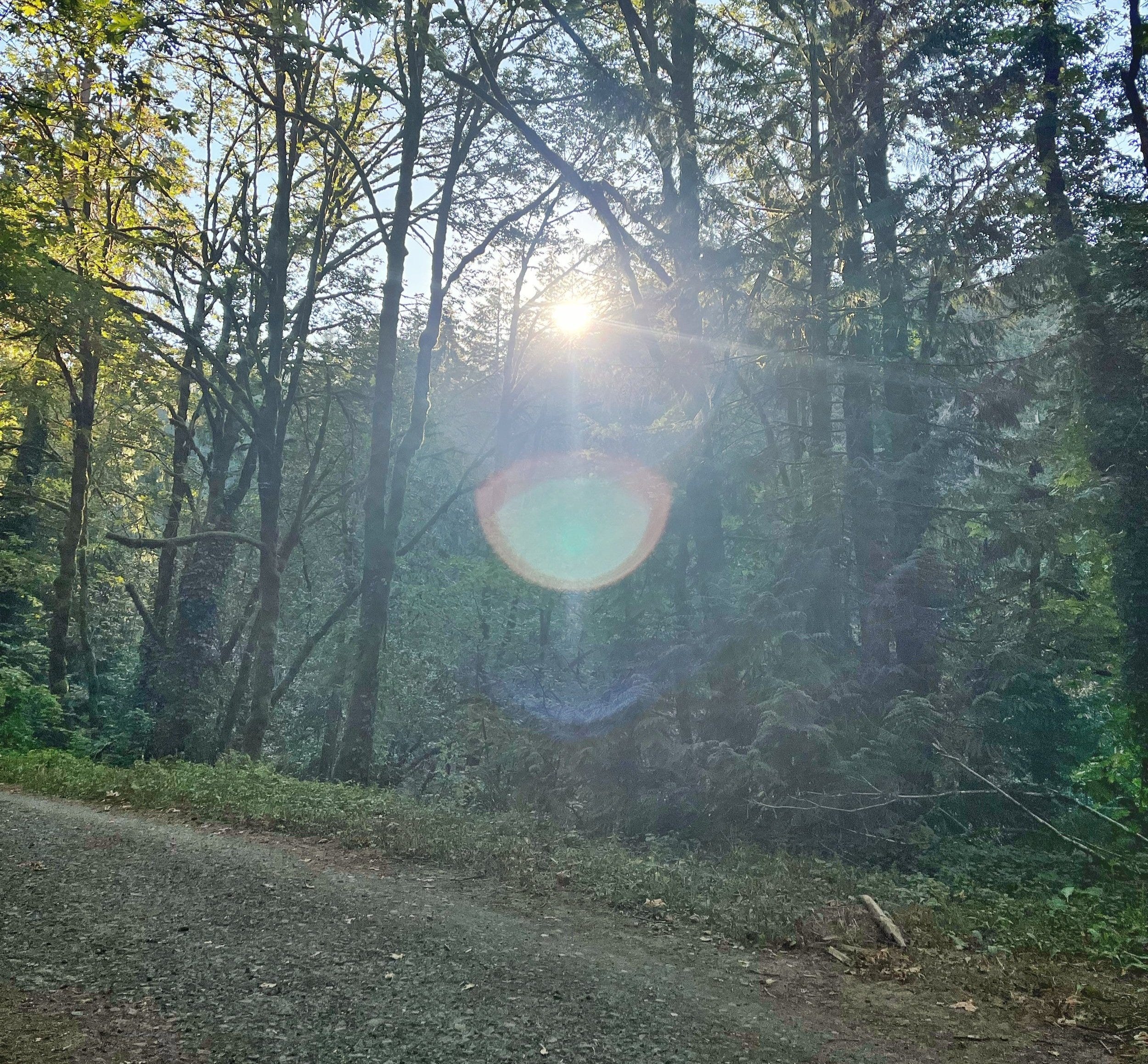 My Final Moment With Mom - by Peter Bromka