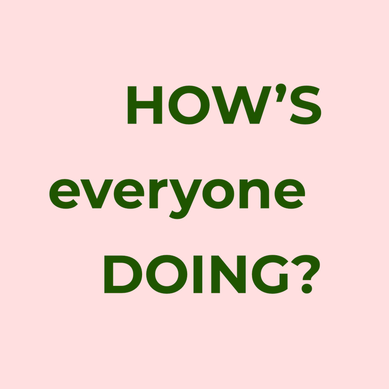 Lynn Enright | Substack