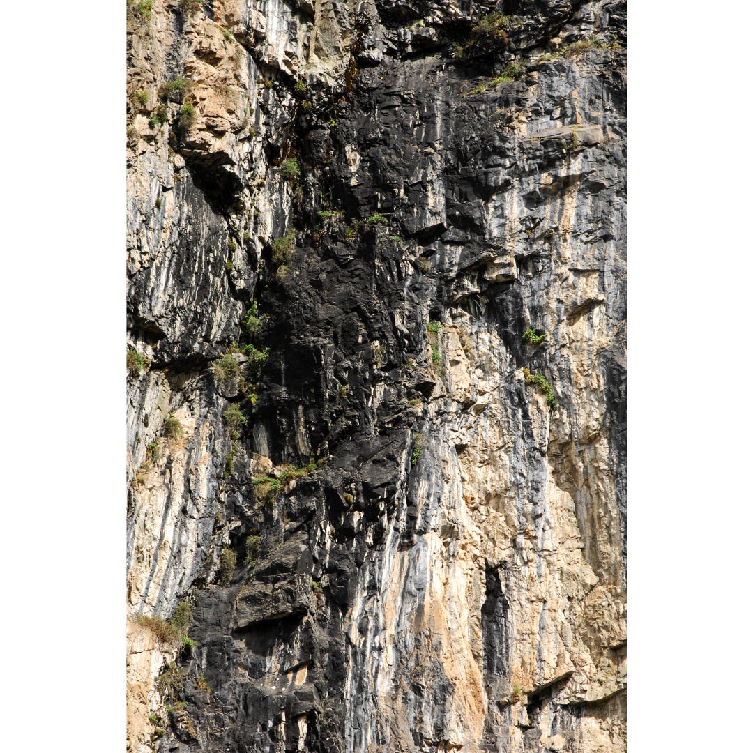 Origin of the Mountain Medicine: Tracing the Source of Shilajit