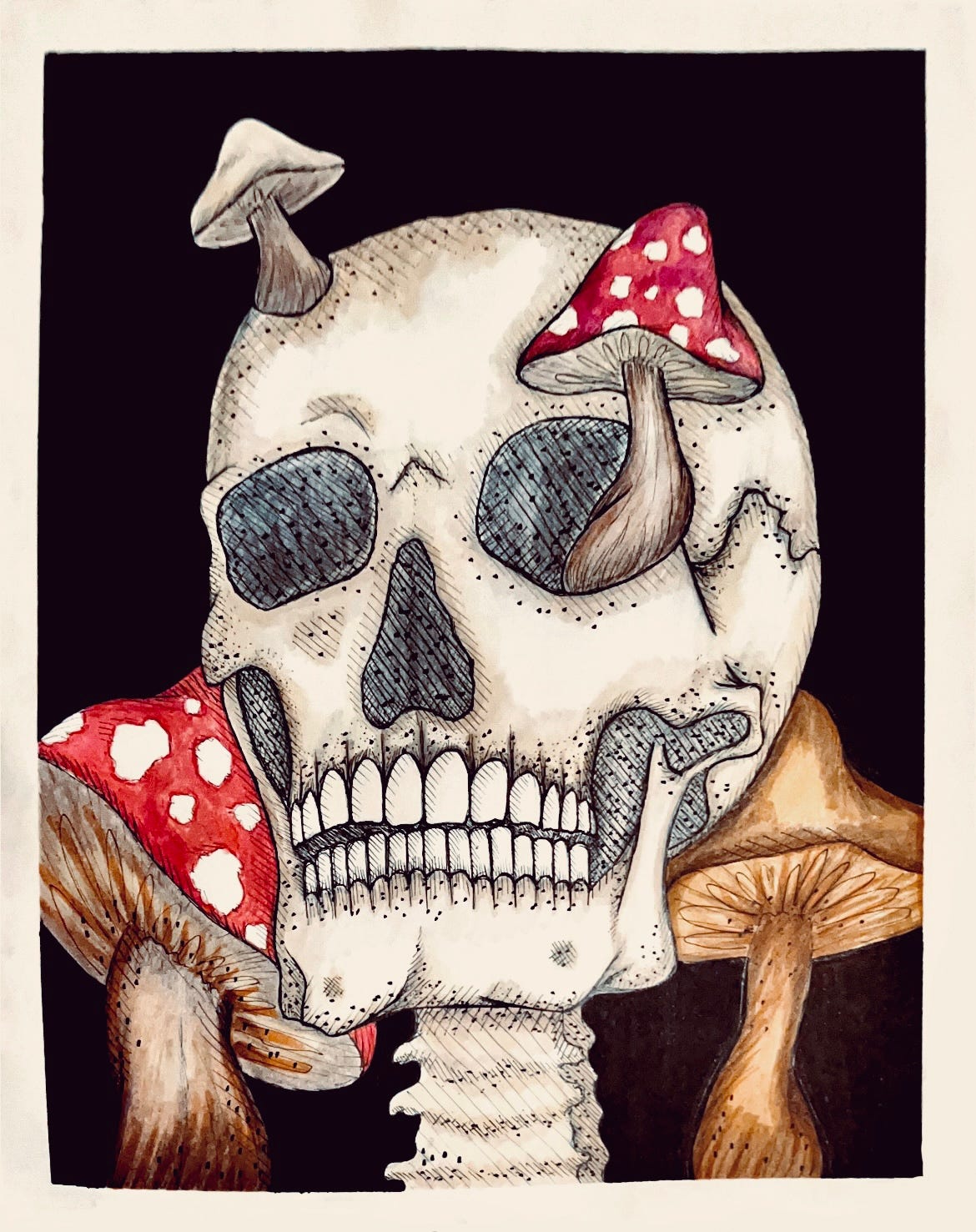 Looking Back At My 2023 - by Judith Peters