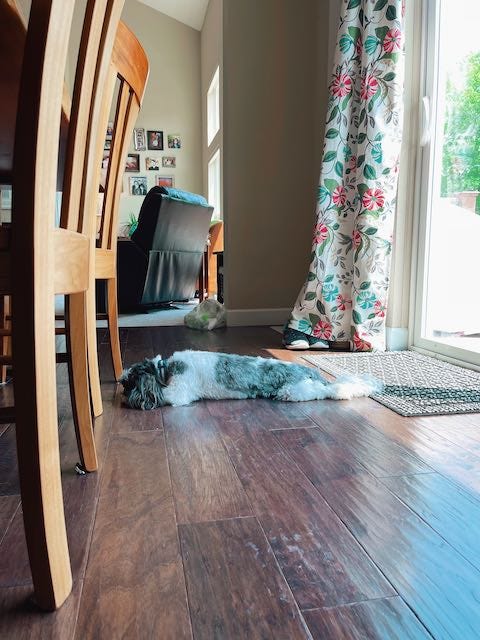 Brake, Or Break - Stories Along The Way from Kris Camealy