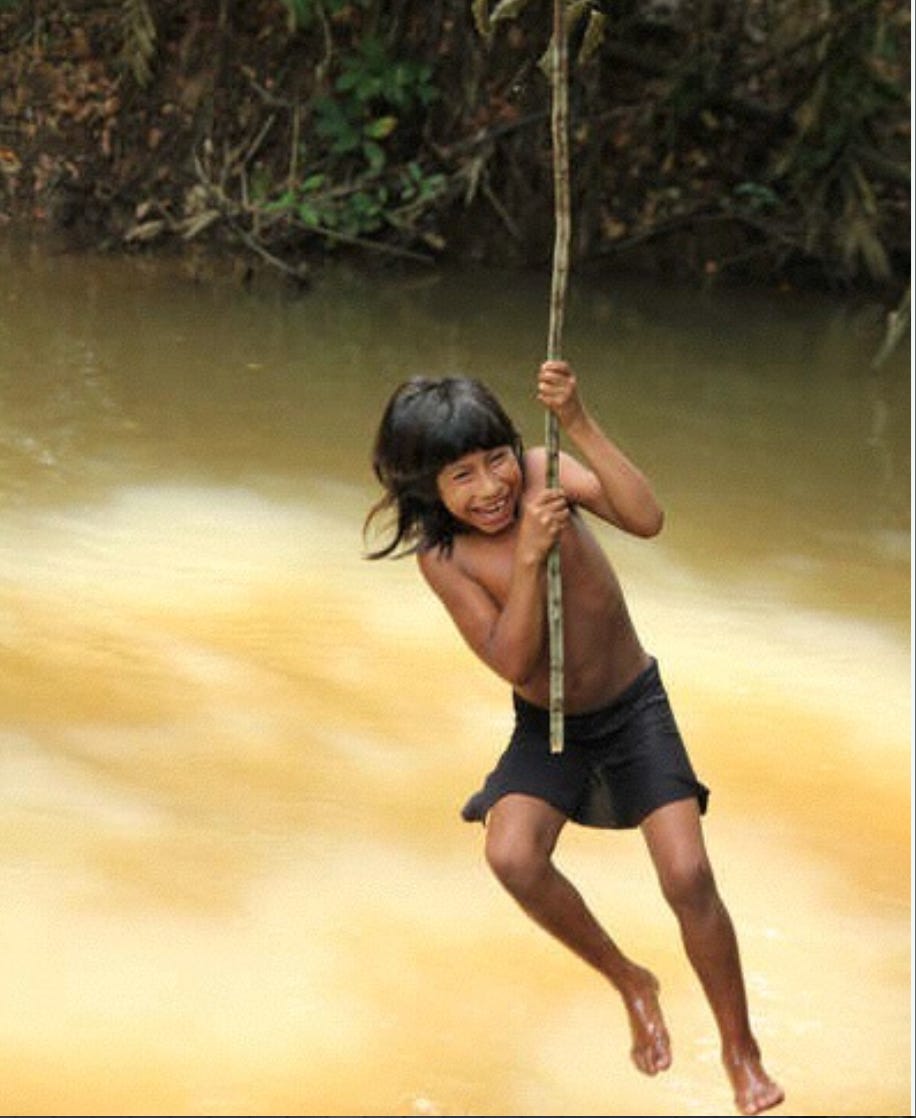 #3. Why Do We Play? - by Peter Gray - Play Makes Us Human