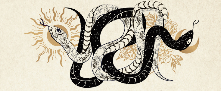 Nimble 5e versus very large dragons: The Battle of Playstyles