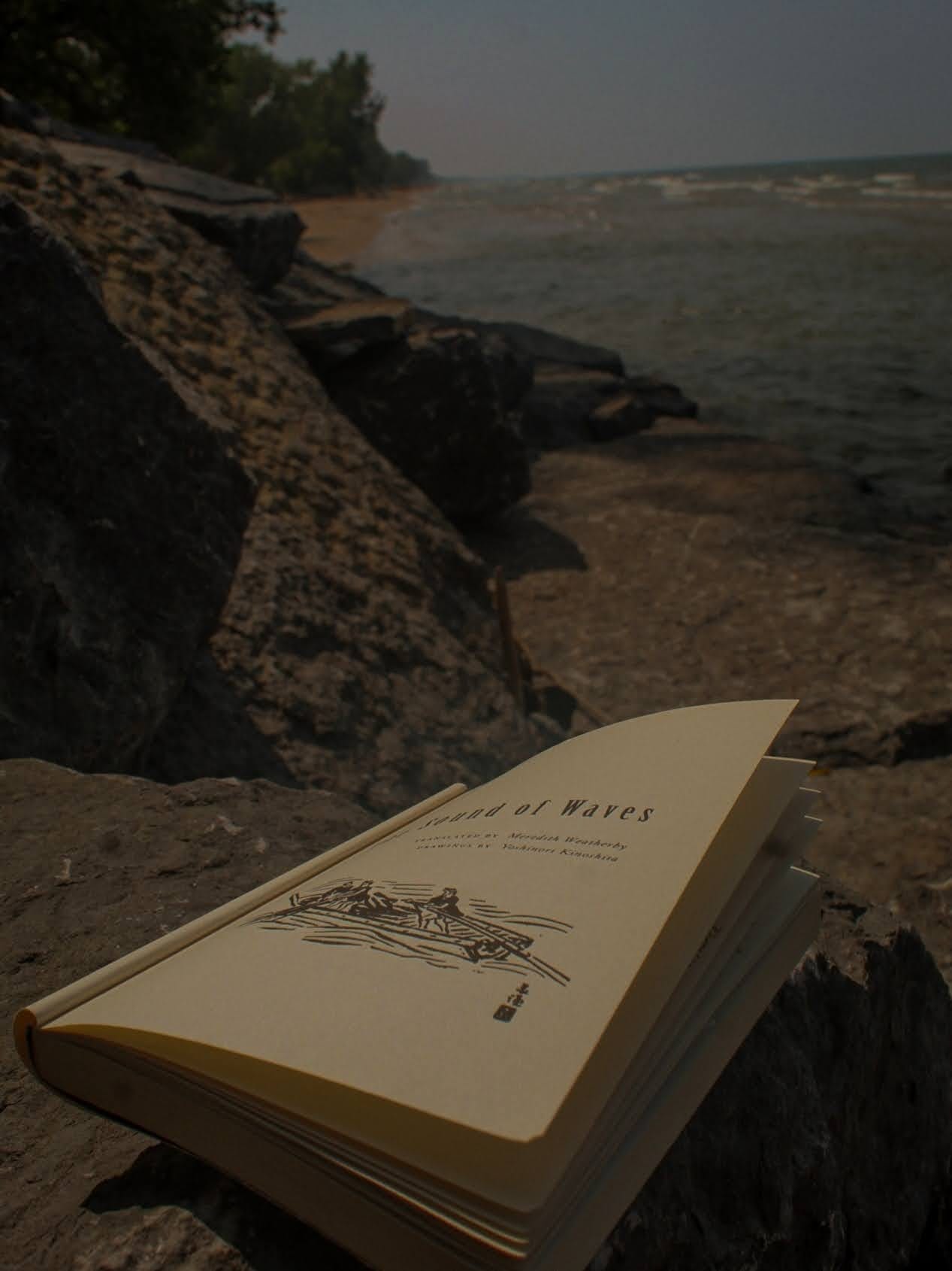 The Sound of Waves by Yukio Mishima - by Sky - hoppyville