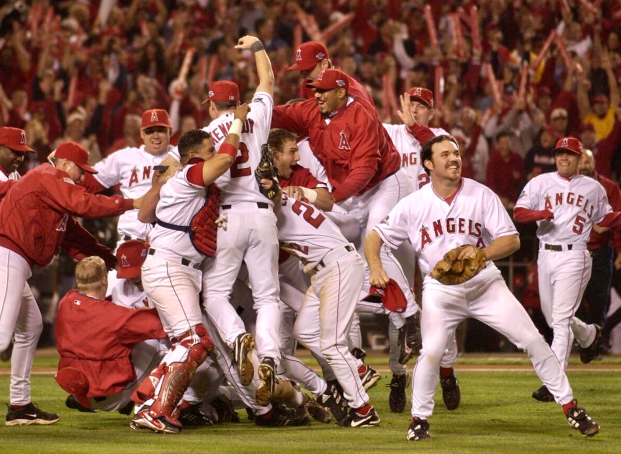 The Toddfather: An Interview with the Great Todd Radom