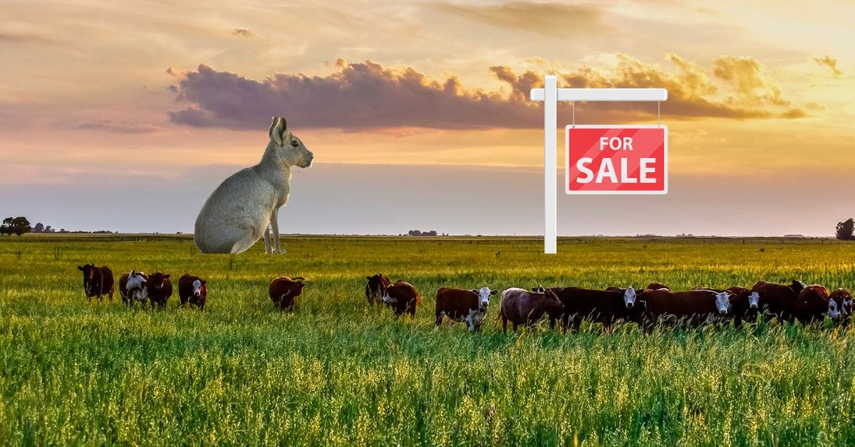 Farmland & Ranching in Argentina