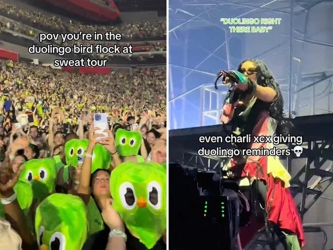 The Viral Play: Unpacking the Genius Behind Duolingo's Charli XCX ...