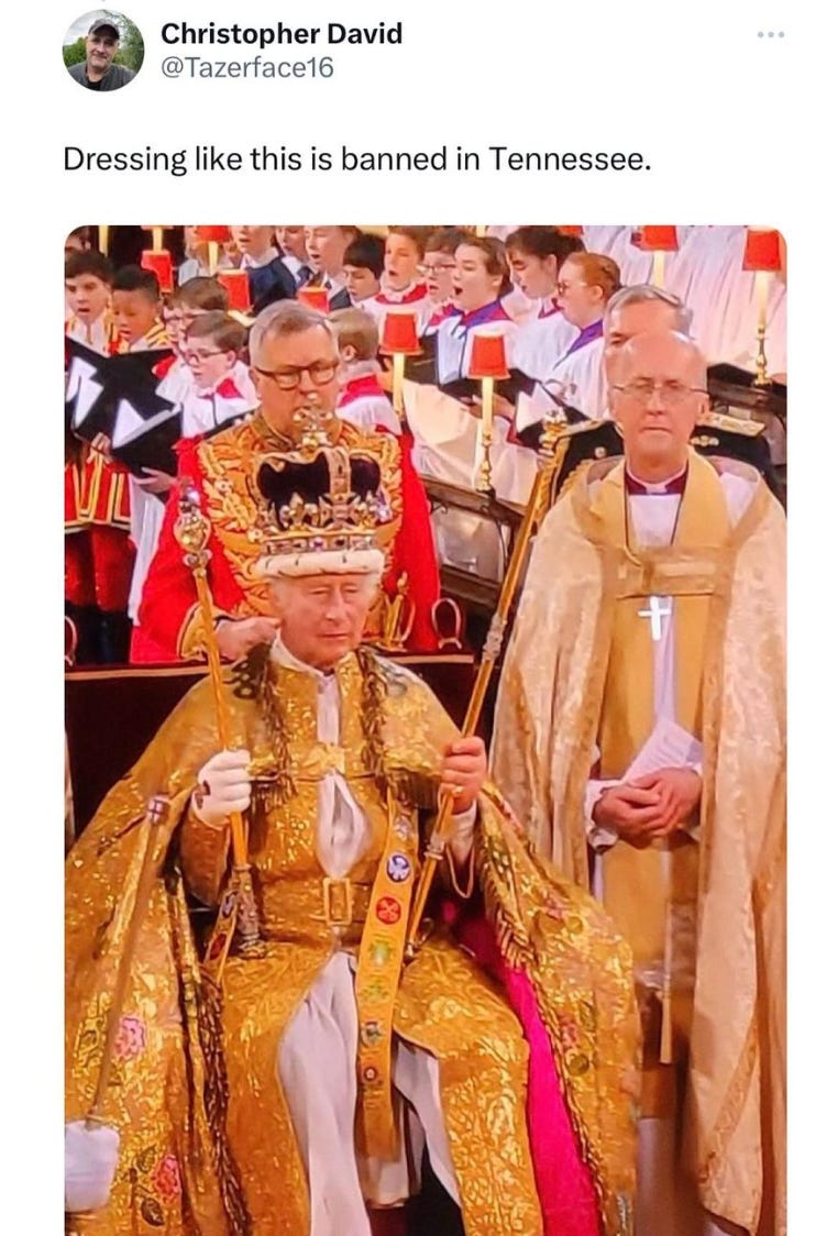 Batty (Moonbeam) & Matty (Healy) - by Claire Ruth McNellan