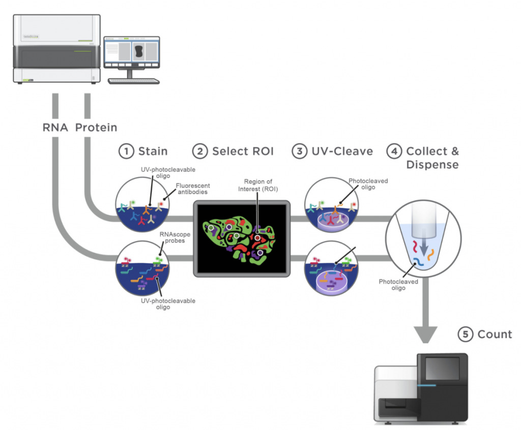 Landscape of Sequencing-based Spatial RNA Technology: Part I