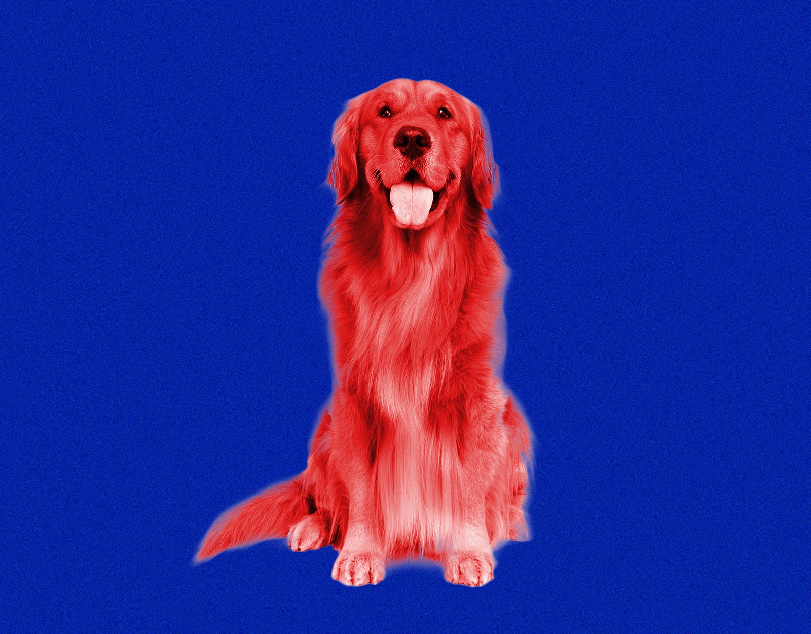 The Trade: Meet the New Red Dog Democrats - by Tim Miller