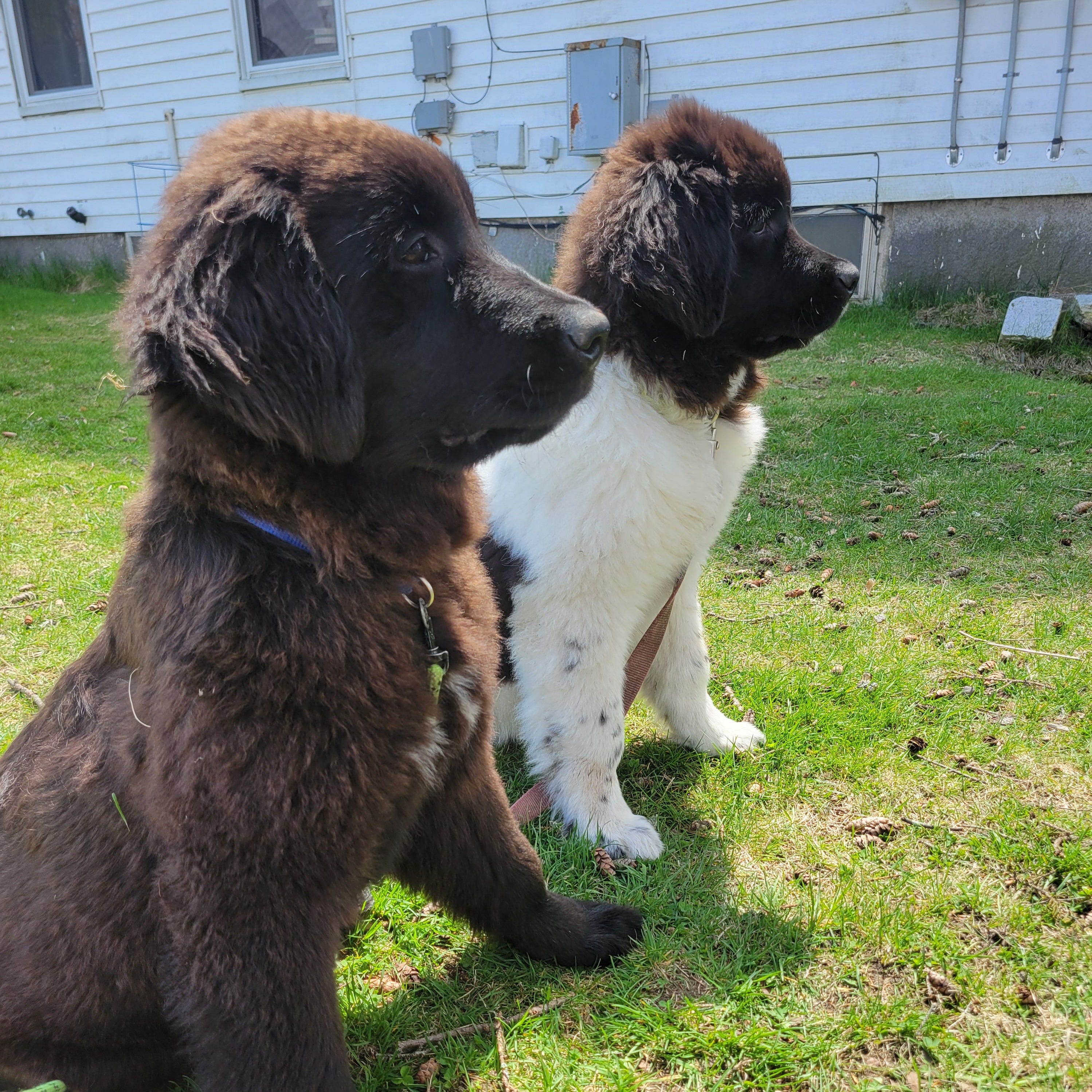 David M. Poff | Substack