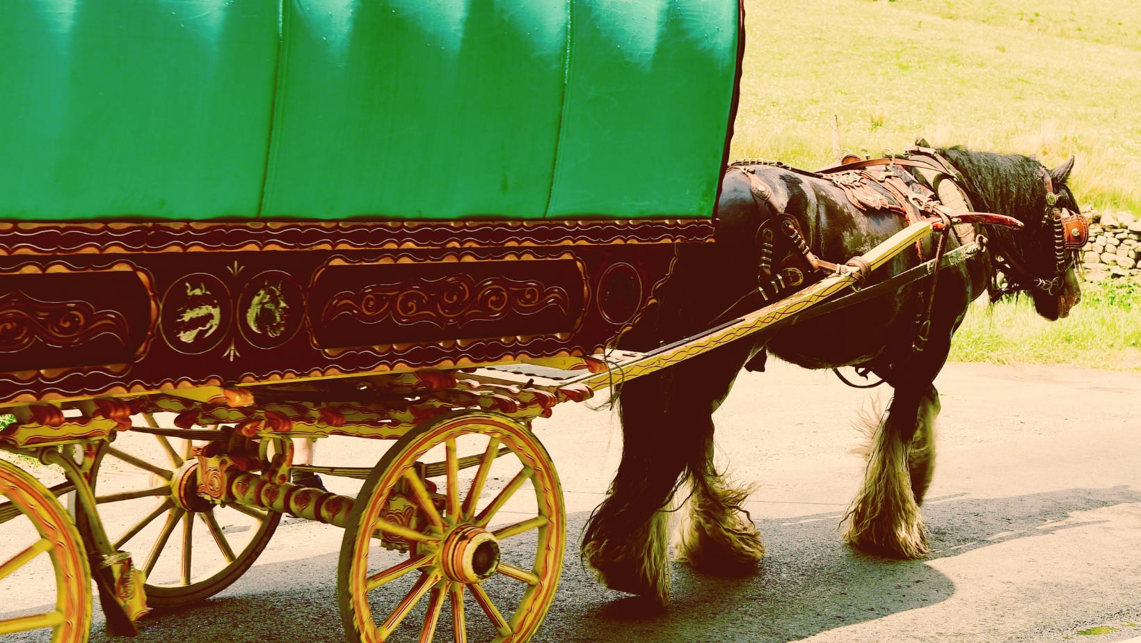 Beyond Borders: The beauty and wisdom of the Romani flag