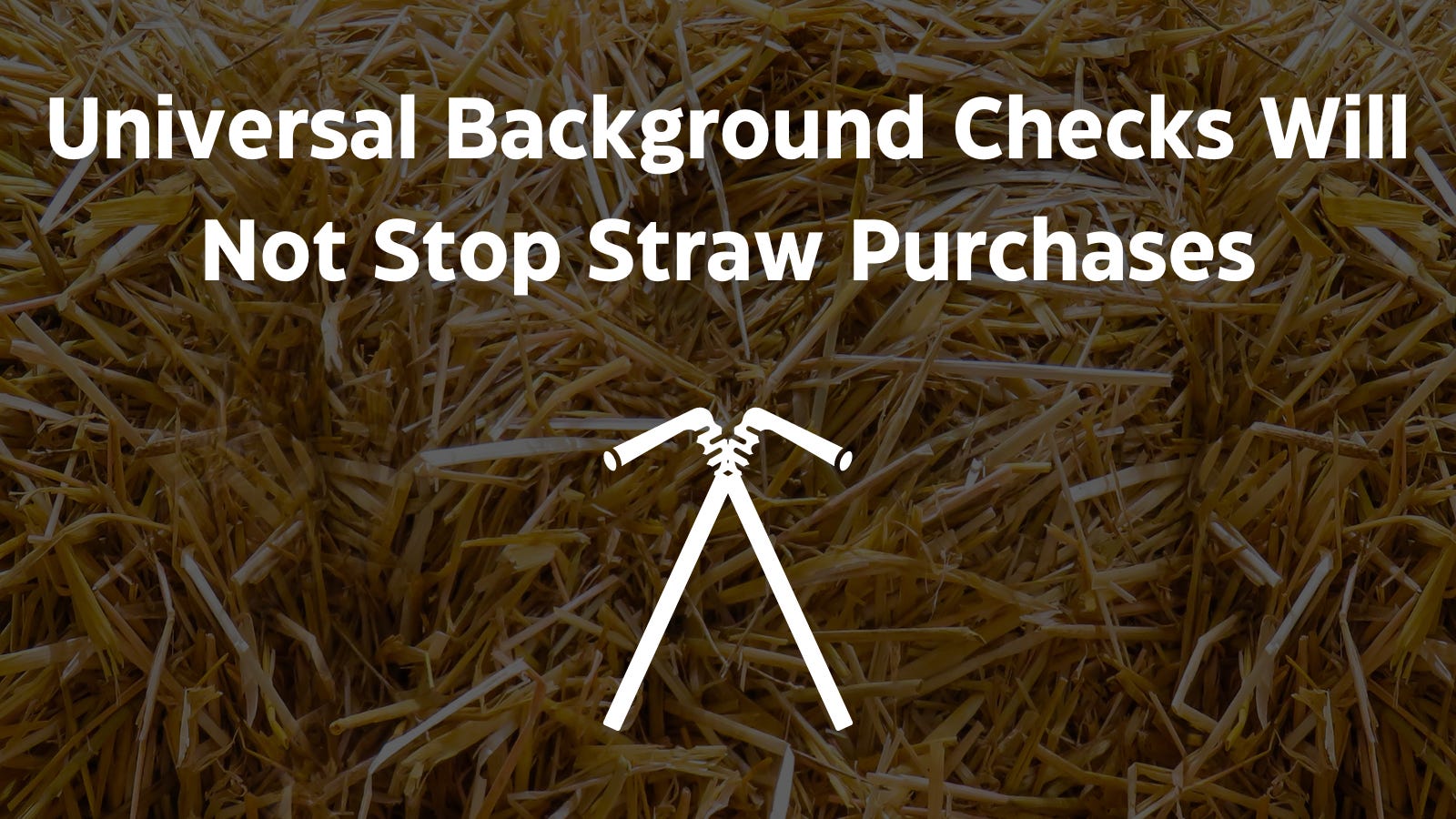 GunFact Check: Universal Background Checks Would Prevent Straw Purchases